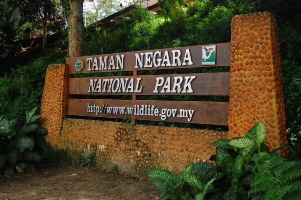 Những Hoạt Động Và Giải Trí Ở Vườn Quốc Gia Taman Negara
